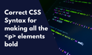 What is the correct css syntax for making all the p elements bold ...