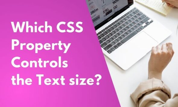 Which CSS Property Controls The Text Size Life In Coding