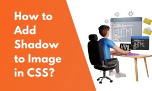 CSS How to Add Shadow to Image? - Life in Coding